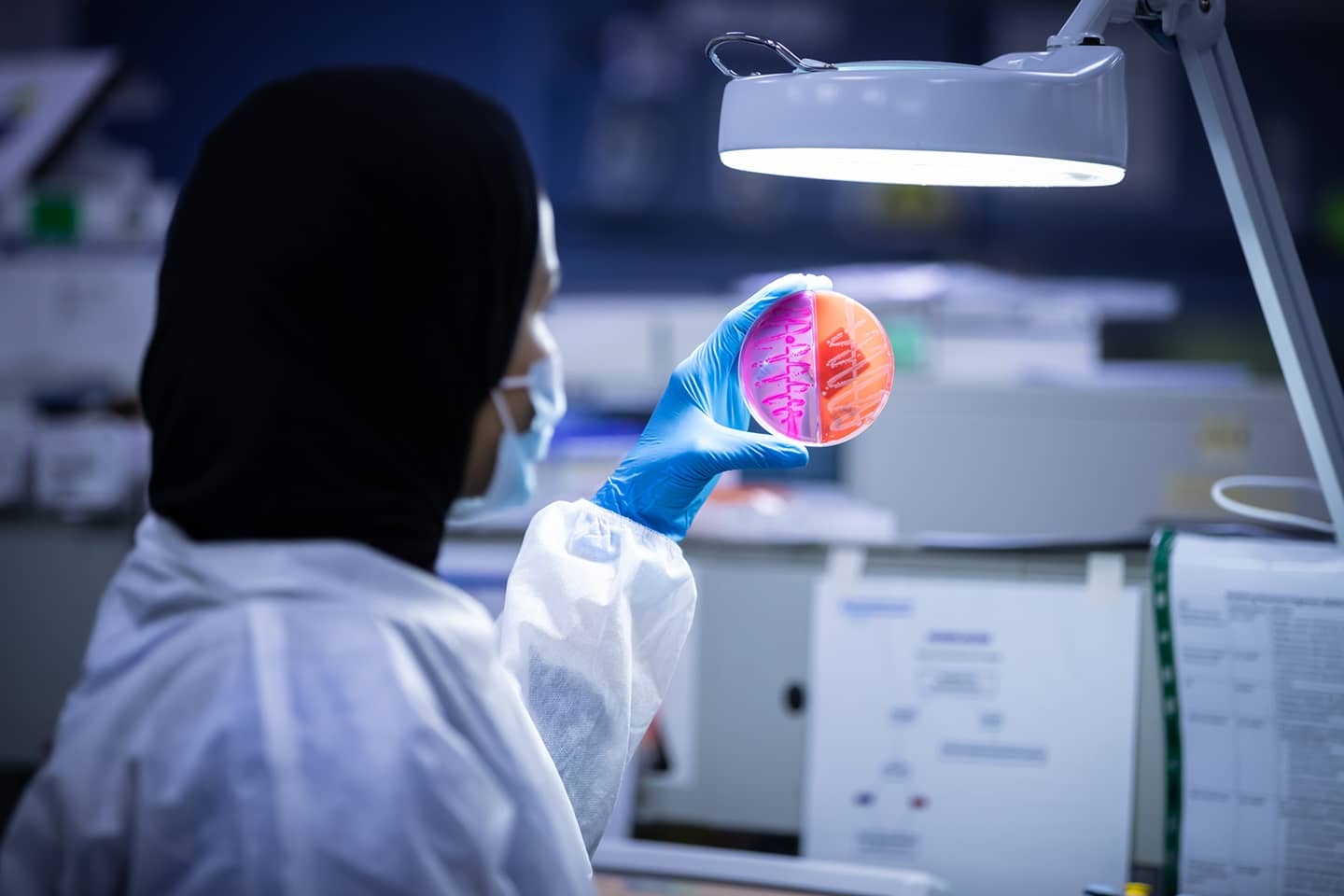 Laboratory Testing Services in UAE - National Reference Laboratory